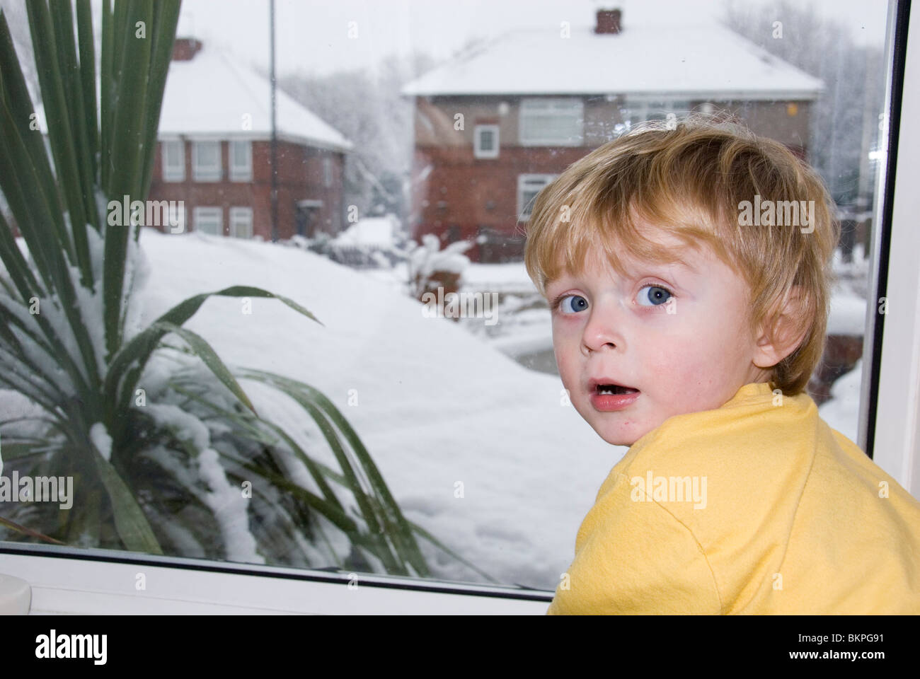 Little Boy Toddler Looking Astonished at the White Winter Snow Outside ...