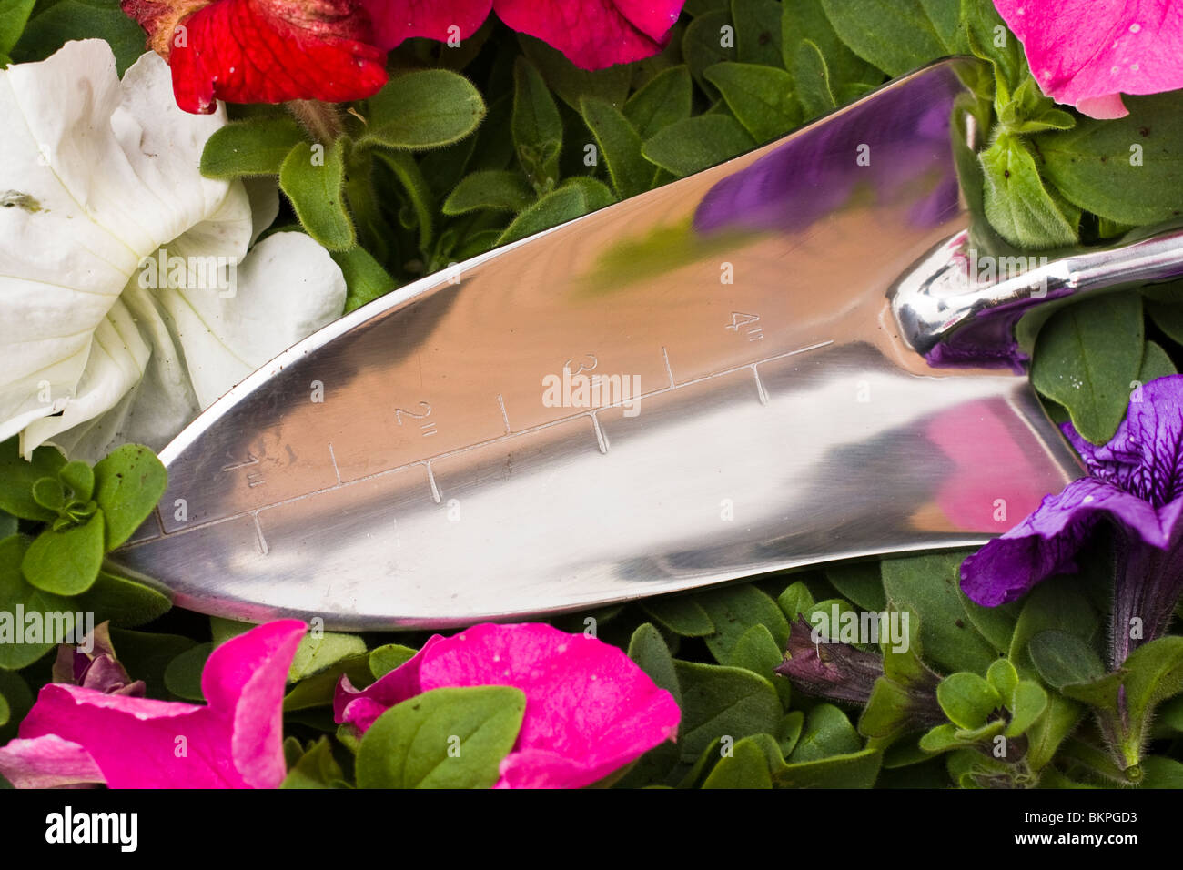 Hand trowel hi-res stock photography and images - Alamy