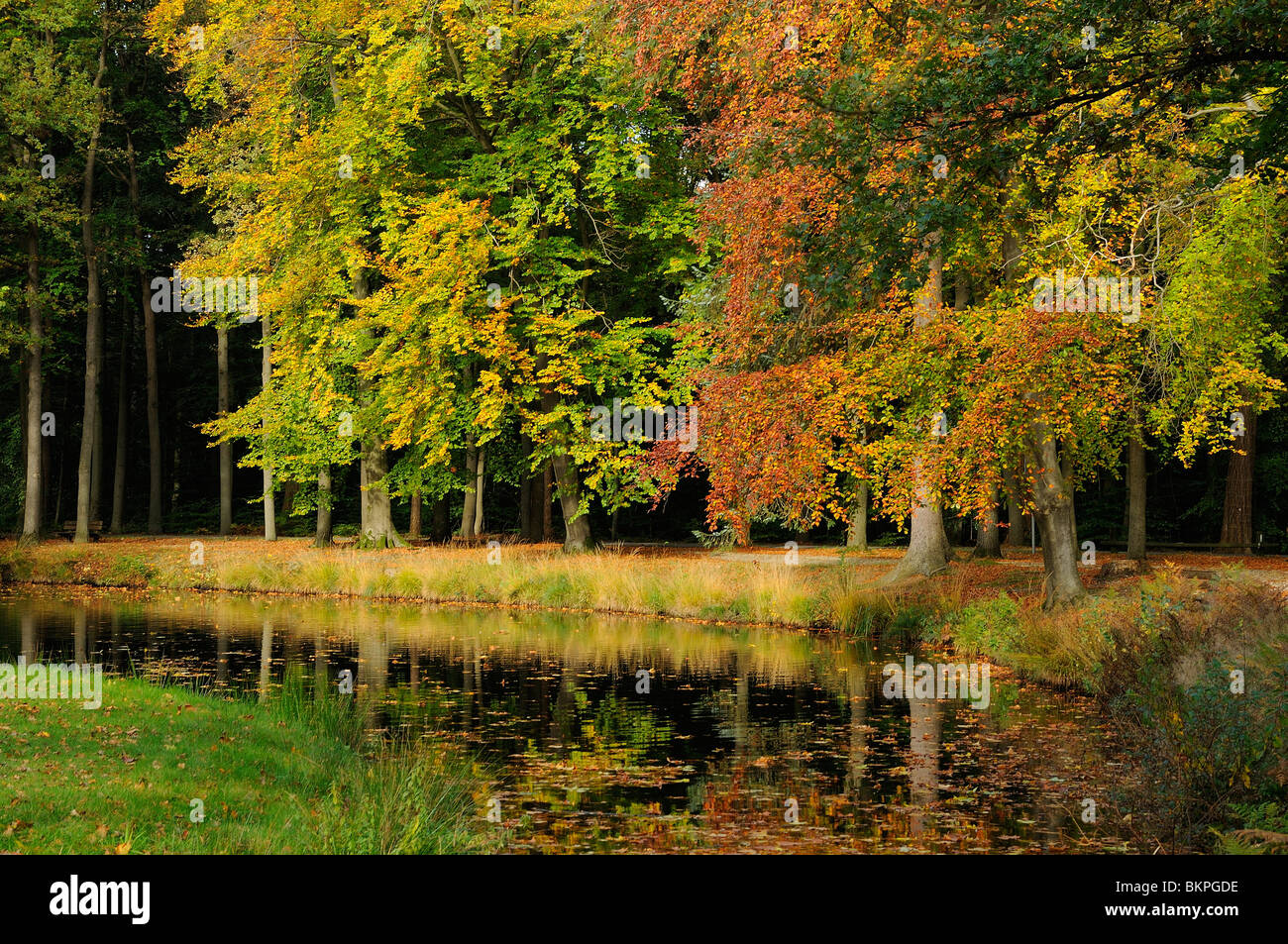 Gracht kasteel staverden hi-res stock photography and images - Alamy