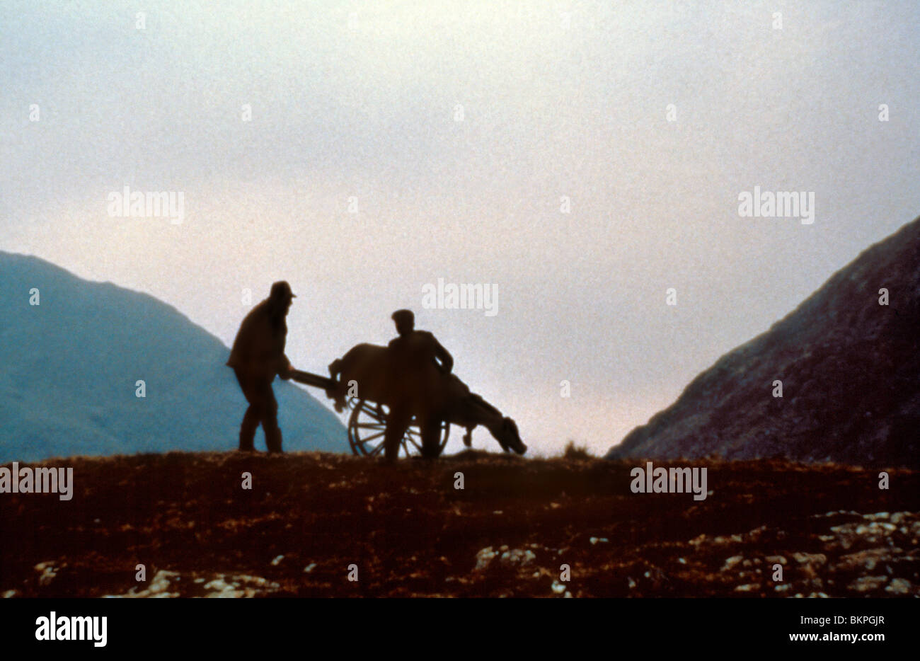 The field film jim sheridan hi-res stock photography and images - Alamy