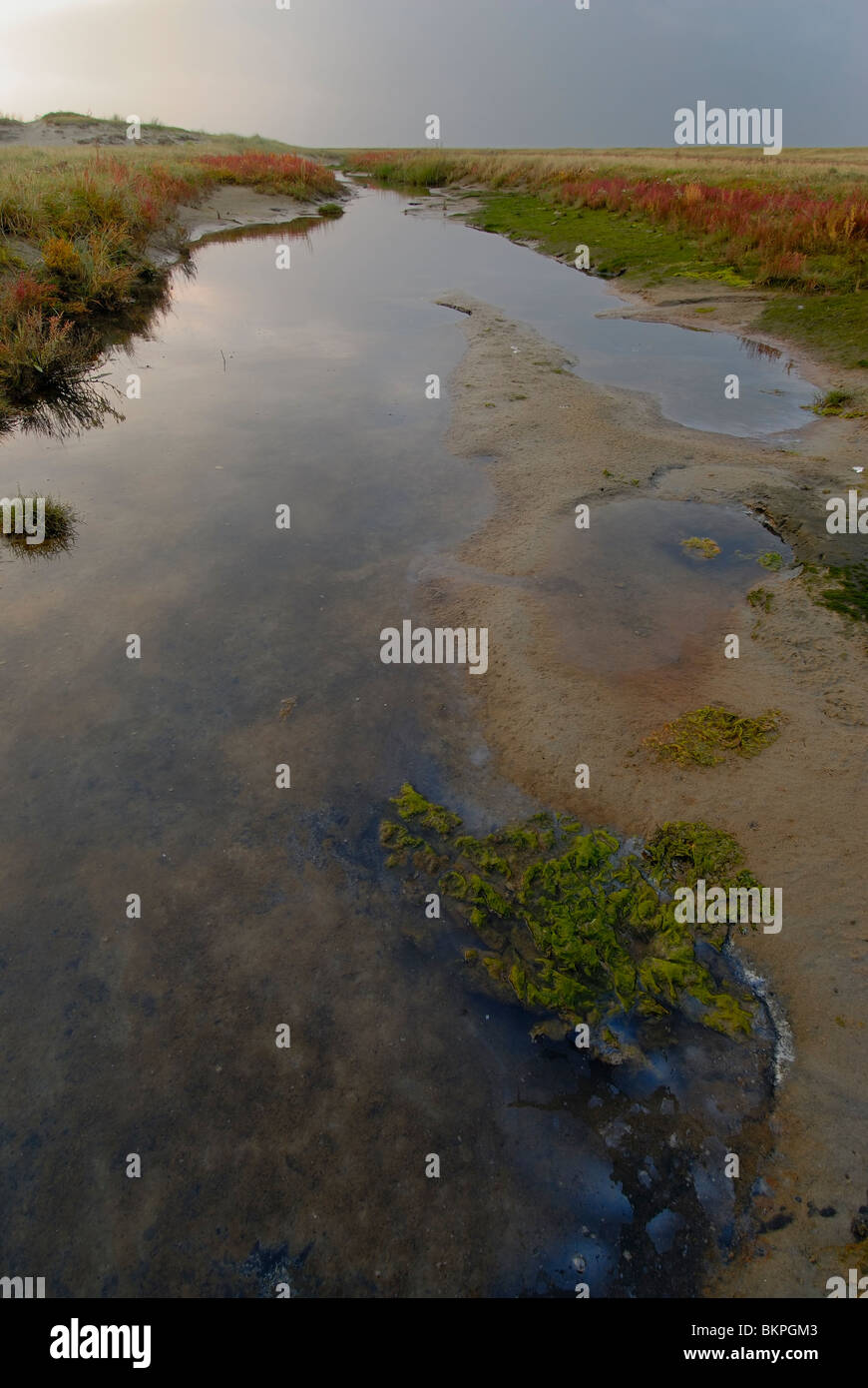 Slenk hi-res stock photography and images - Alamy