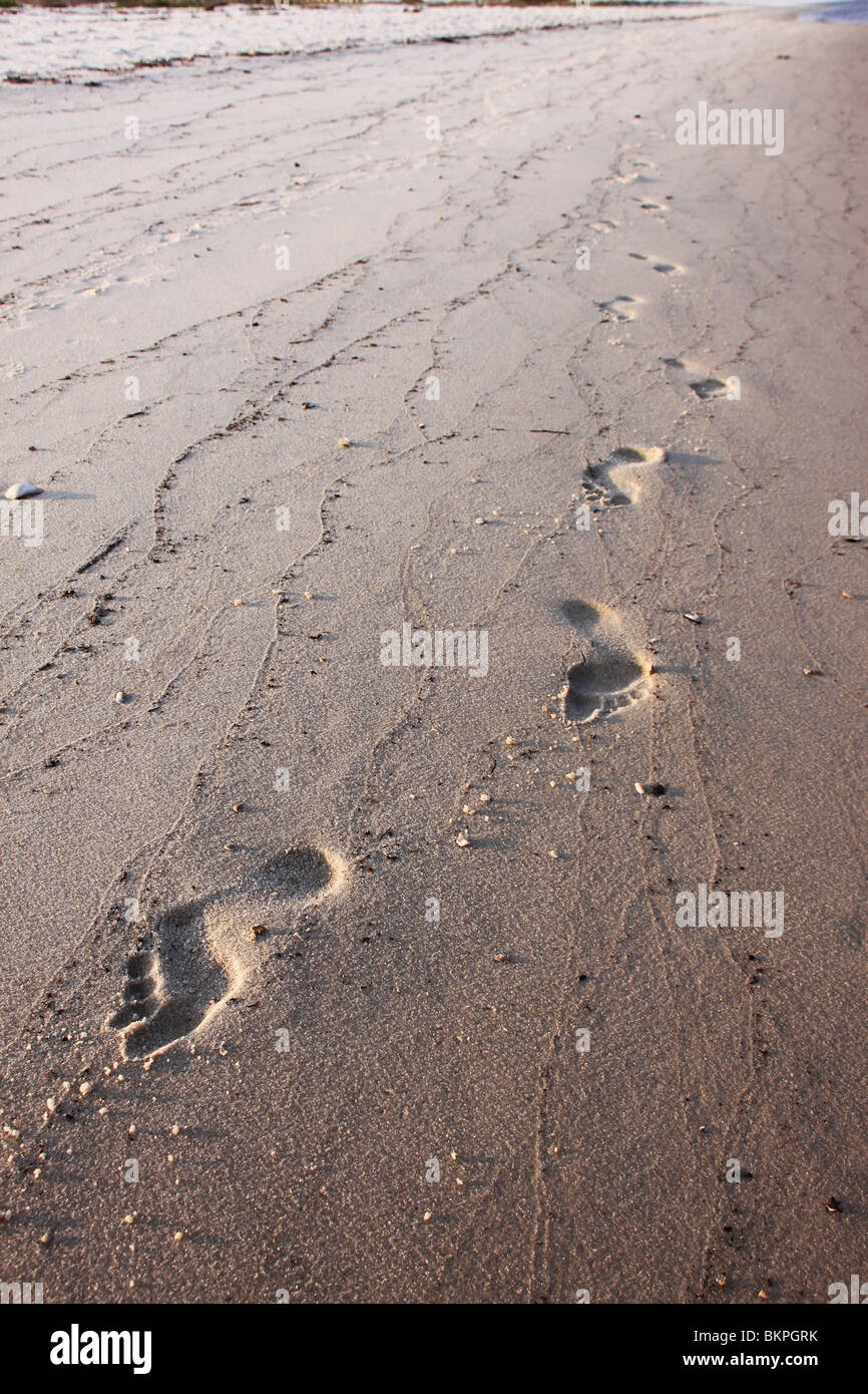 Footprints in the sand, Bald Point, Florida Stock Photo - Alamy