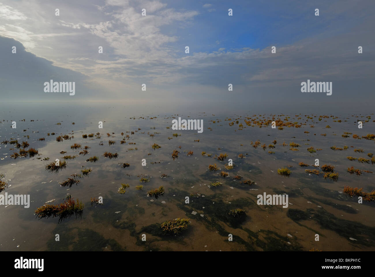 Unesco world heritage waddenzee hi-res stock photography and images - Alamy
