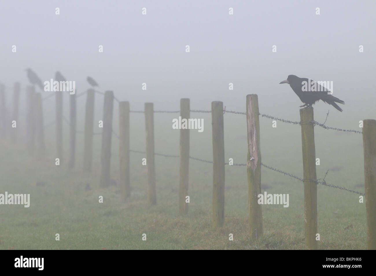 Houten paaltje hi-res stock photography and images - Alamy