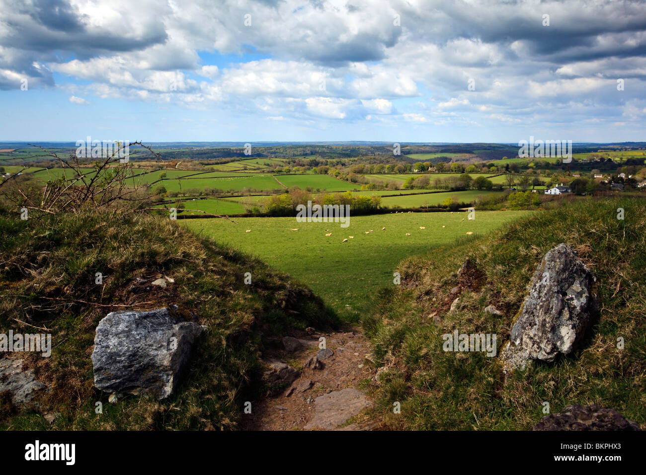 Devonshire england hi-res stock photography and images - Alamy