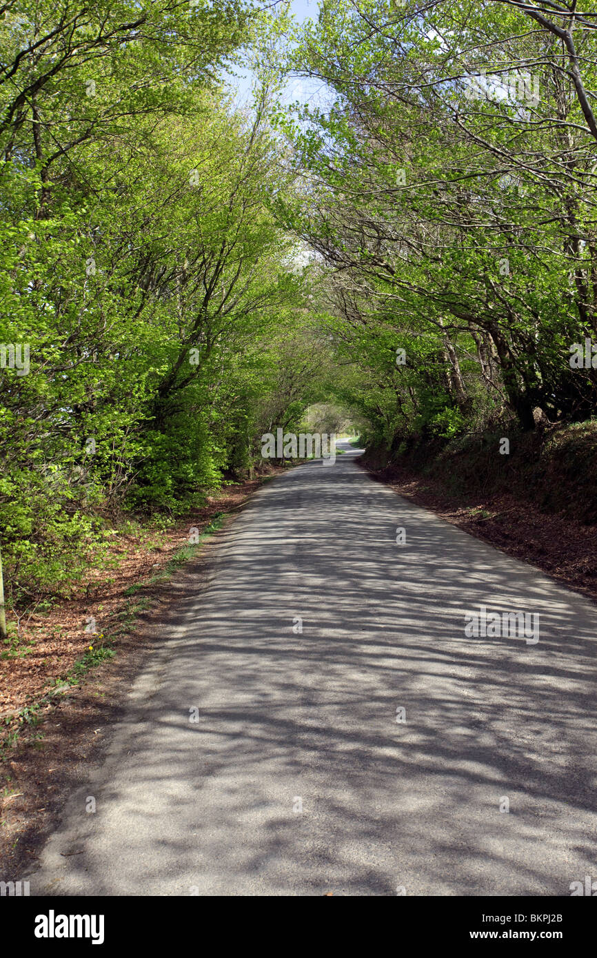 English country lane in spring hi-res stock photography and images - Alamy