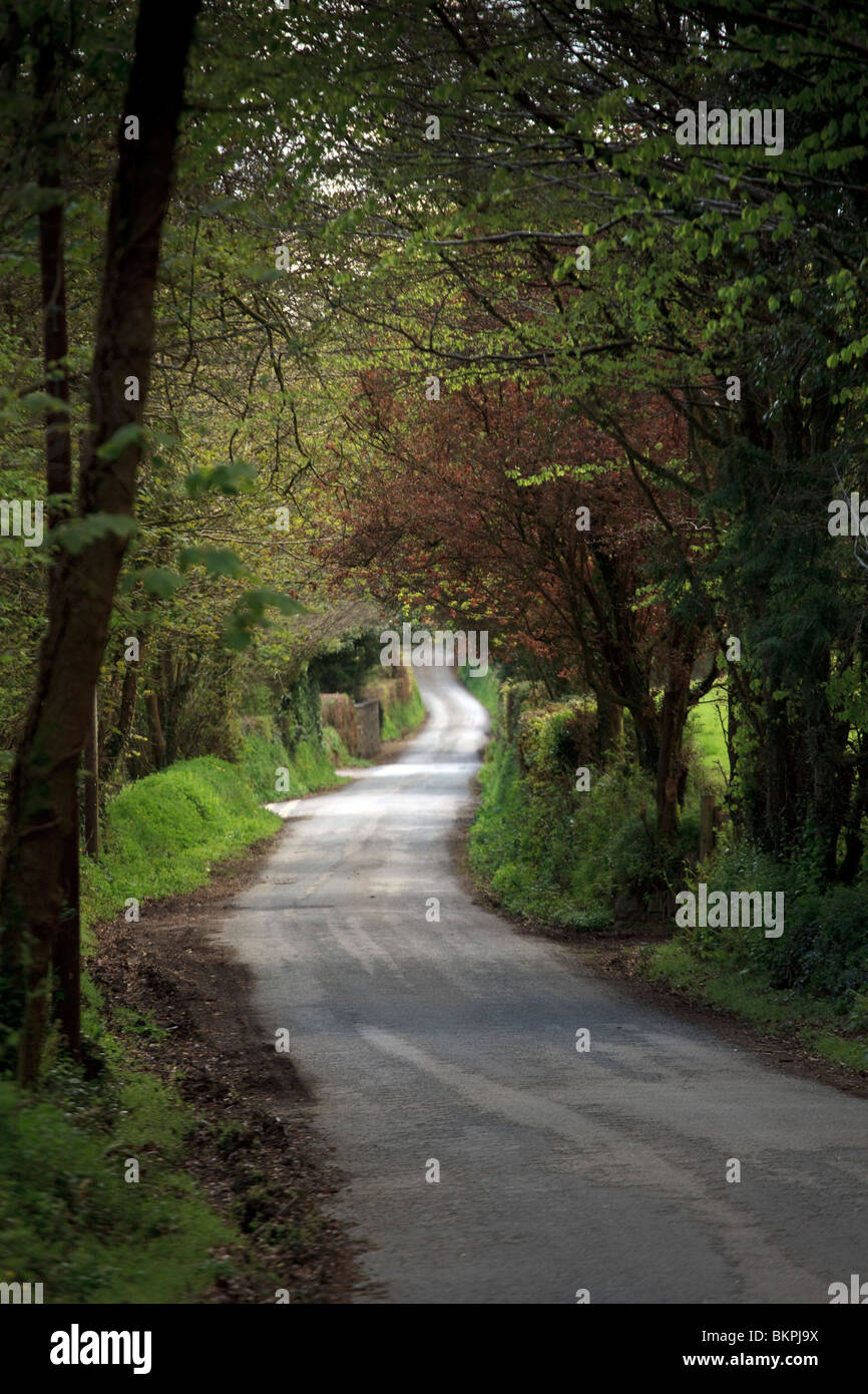 English country lane hi-res stock photography and images - Alamy
