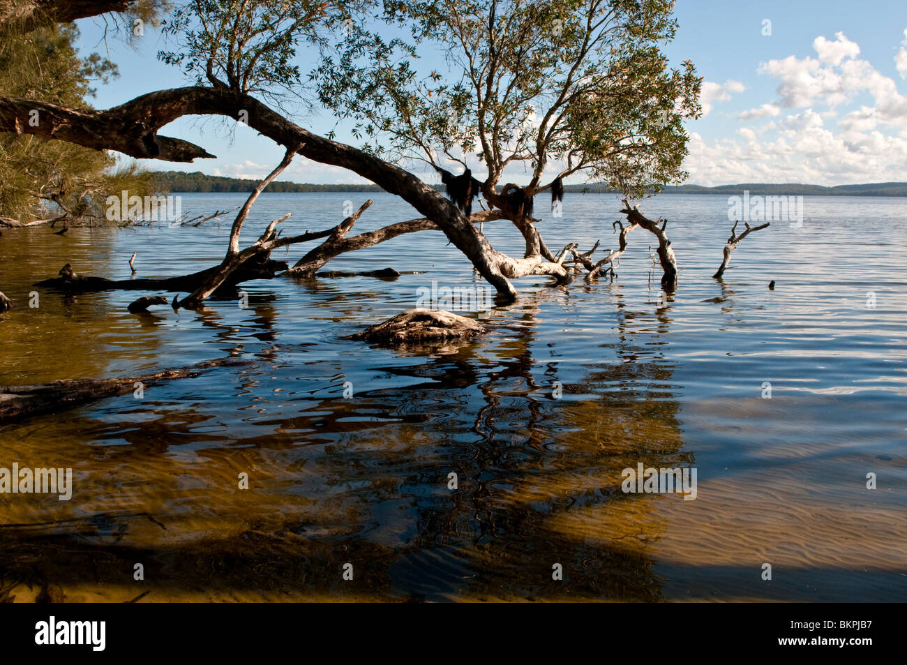 Myall Lake High Resolution Stock Photography and Images - Alamy