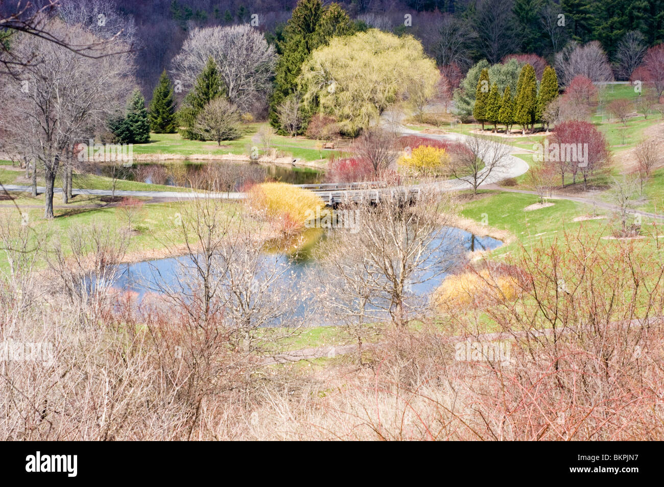 Cornell Plantations in spring, Ithaca, New York, USA Stock Photo - Alamy