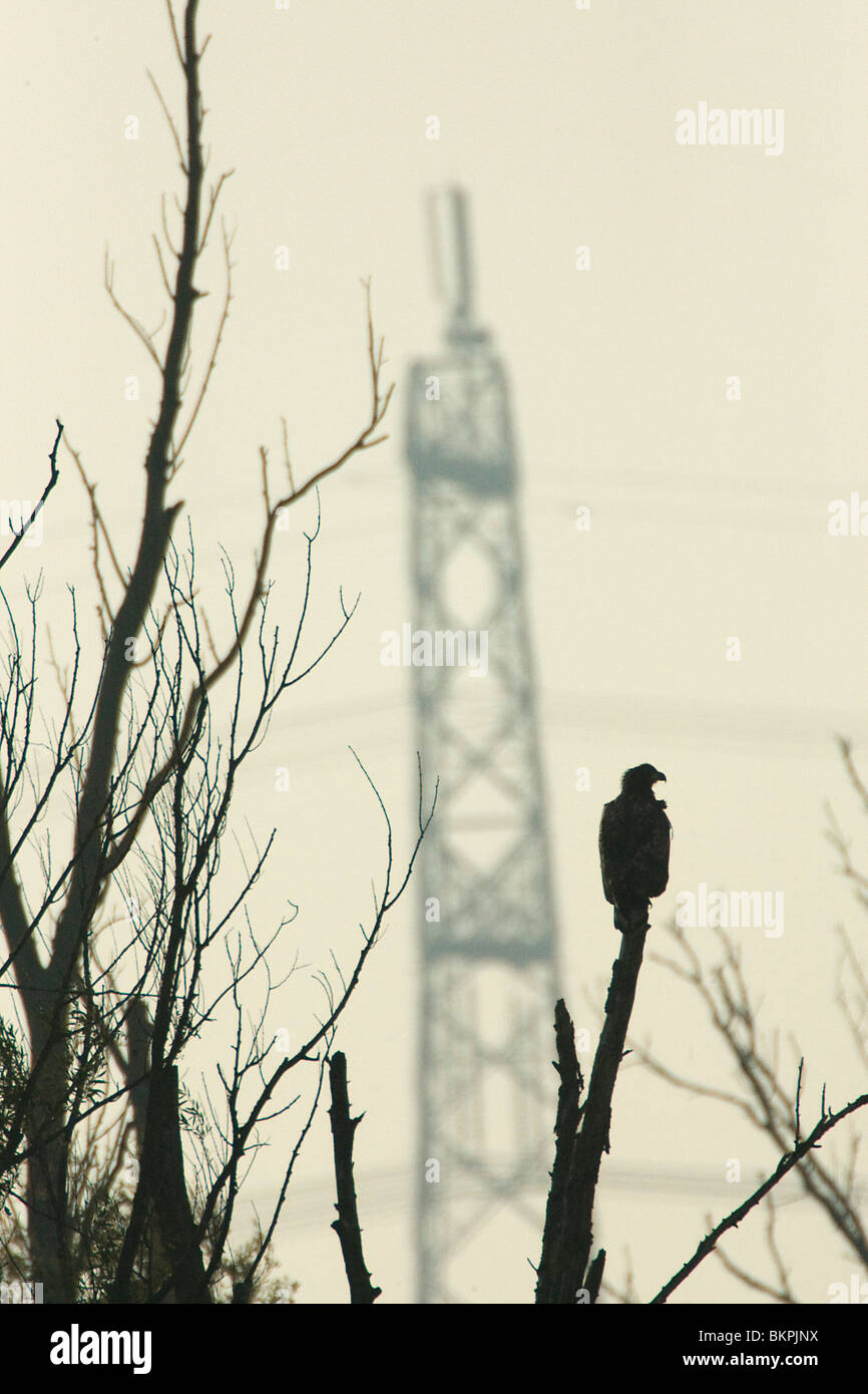 Ruimtegebruik hi-res stock photography and images - Alamy