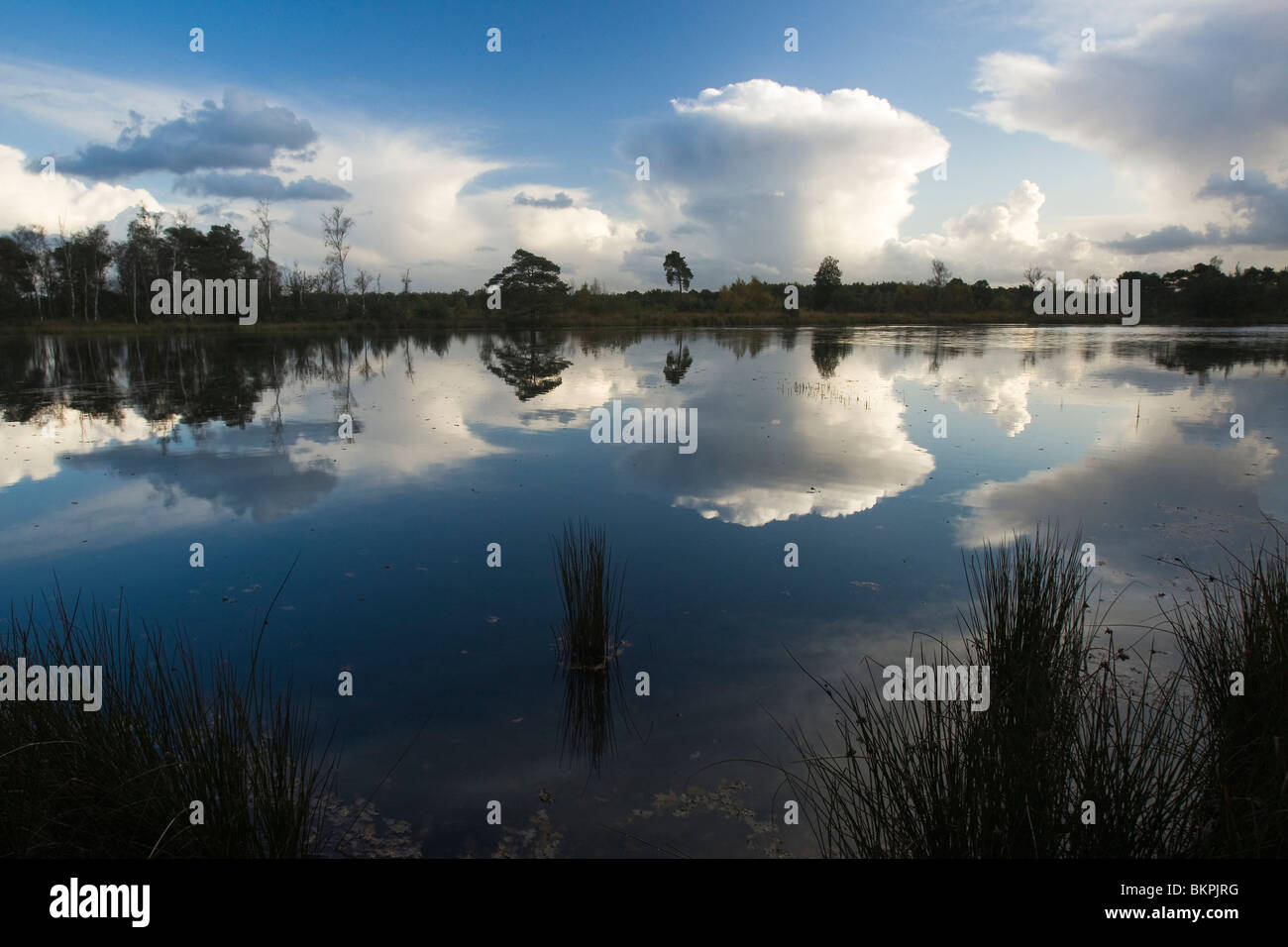 Leersumse Veld Stock Photos & Leersumse Veld Stock Images - Alamy