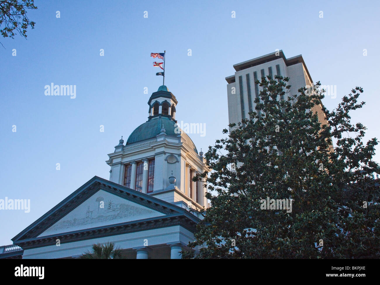Florida tallahassee florida state capitol hi-res stock photography and ...