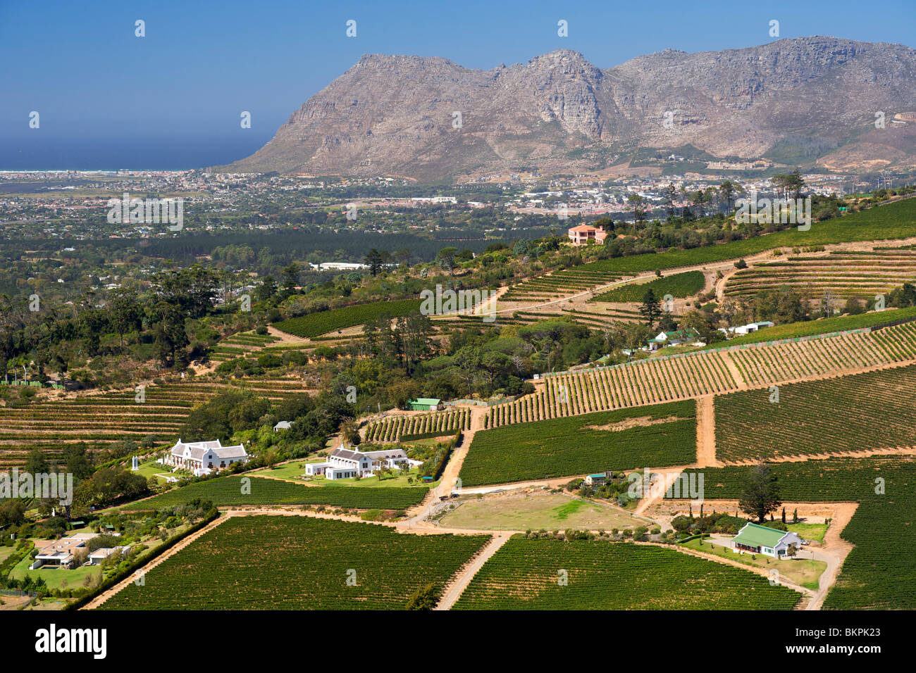 Constantia hi-res stock photography and images - Alamy
