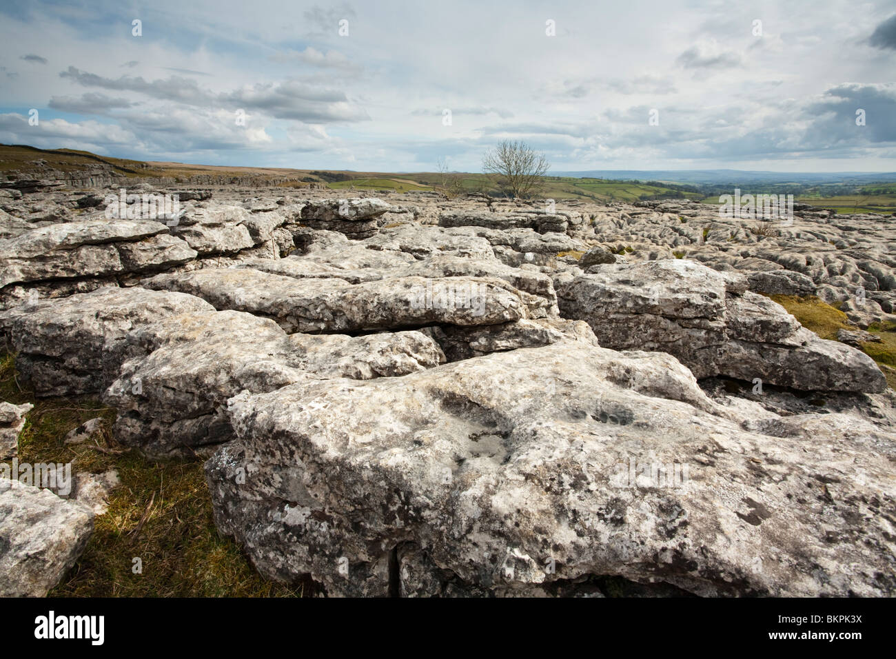 Limestone pavement at the top of Malham Cove in the Yorkshire Dales, Uk ...