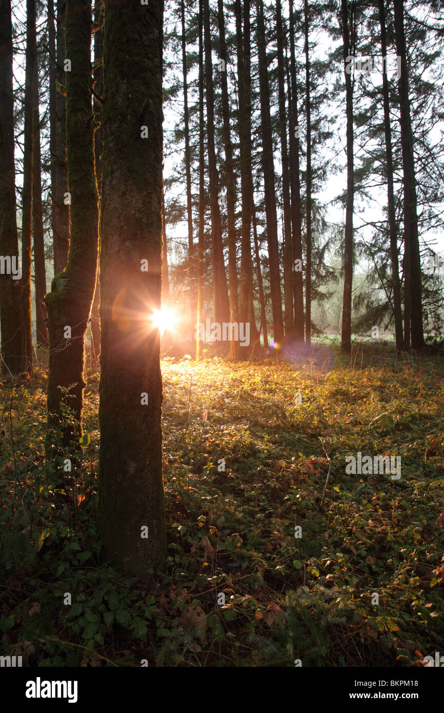 Light hi-res stock photography and images - Alamy