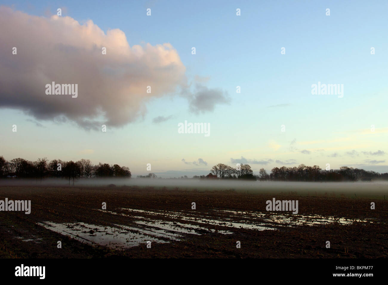 Ground fog hi-res stock photography and images - Alamy