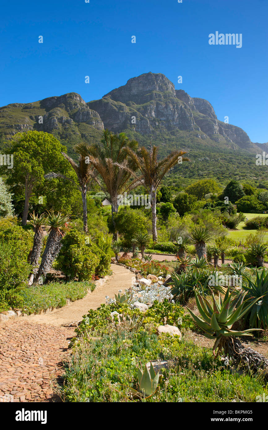Kirstenbosch garden hi-res stock photography and images - Alamy