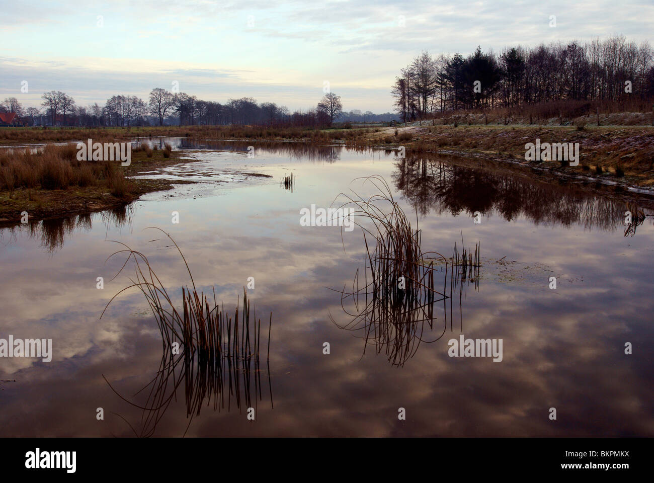 Stilstaand water hi-res stock photography and images - Alamy