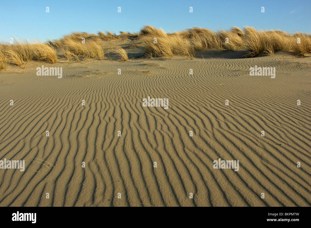 Dunes figures hi-res stock photography and images - Alamy