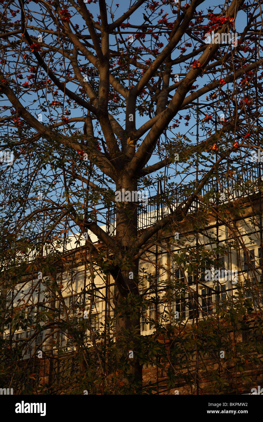 Connaught Place Market Bazaar Office Shop Complex Building Central New ...