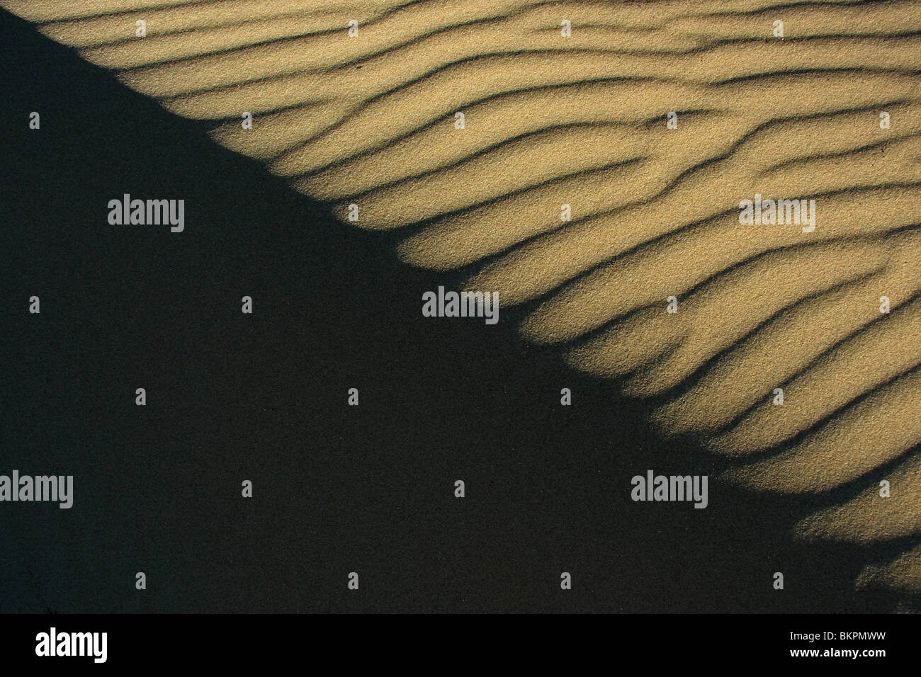 Dunes ridges ripples shadows hi-res stock photography and images - Alamy