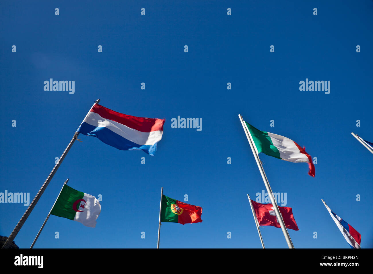 Africa cup of nation hi-res stock photography and images - Alamy