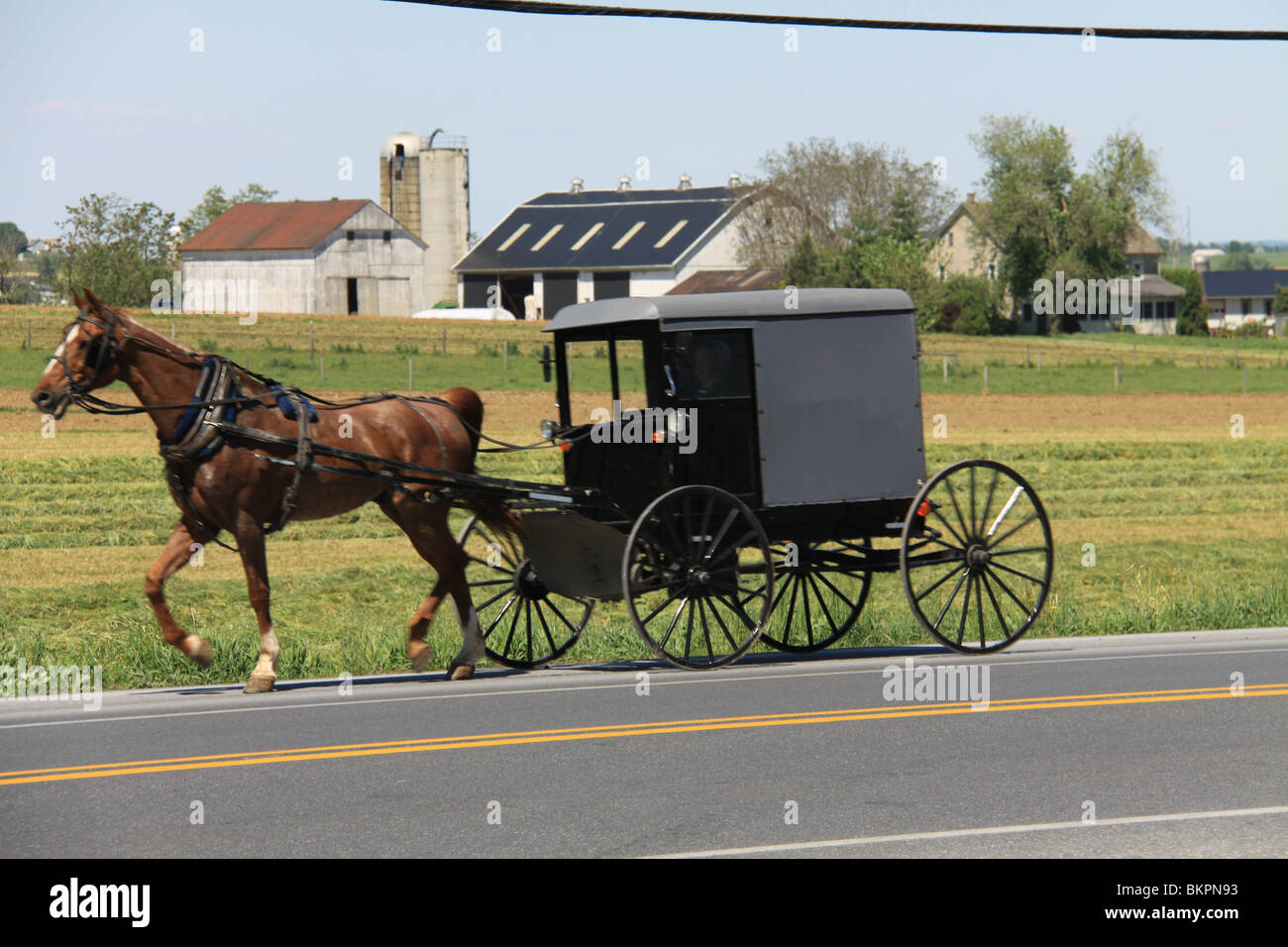 Amish buggy hi-res stock photography and images - Alamy