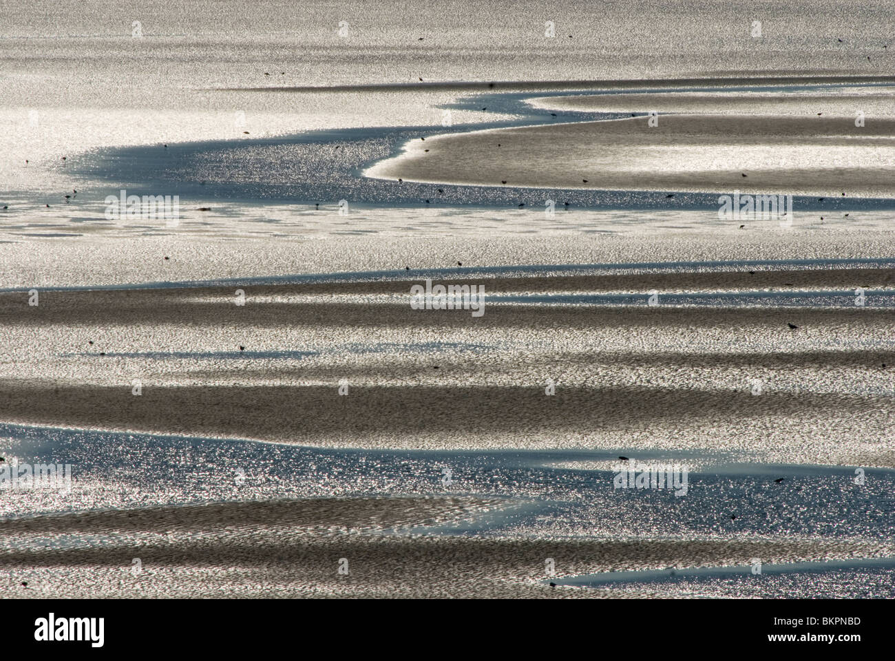 Slikken van Voorne Stock Photo - Alamy