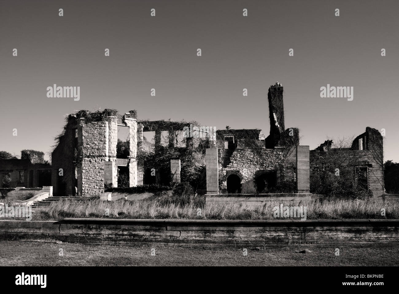 RUINS OF DUNGENESS MANSION ON CUMBERLAND ISLAND, GEORGIA, UNITED STATES ...