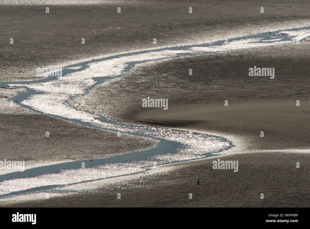 Slikken van voorne hi-res stock photography and images - Alamy