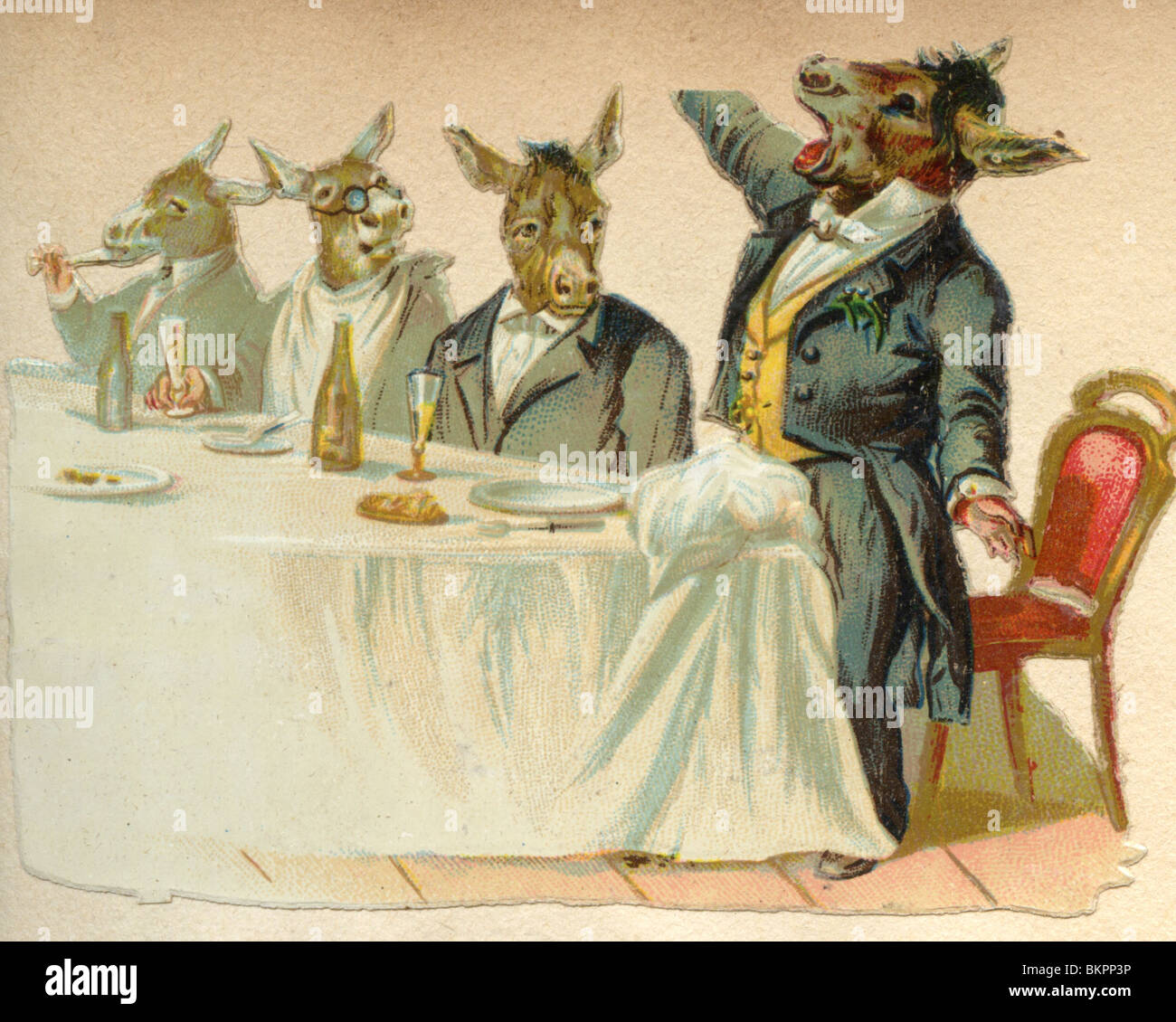 A Feast for the Donkeys Stock Photo - Alamy