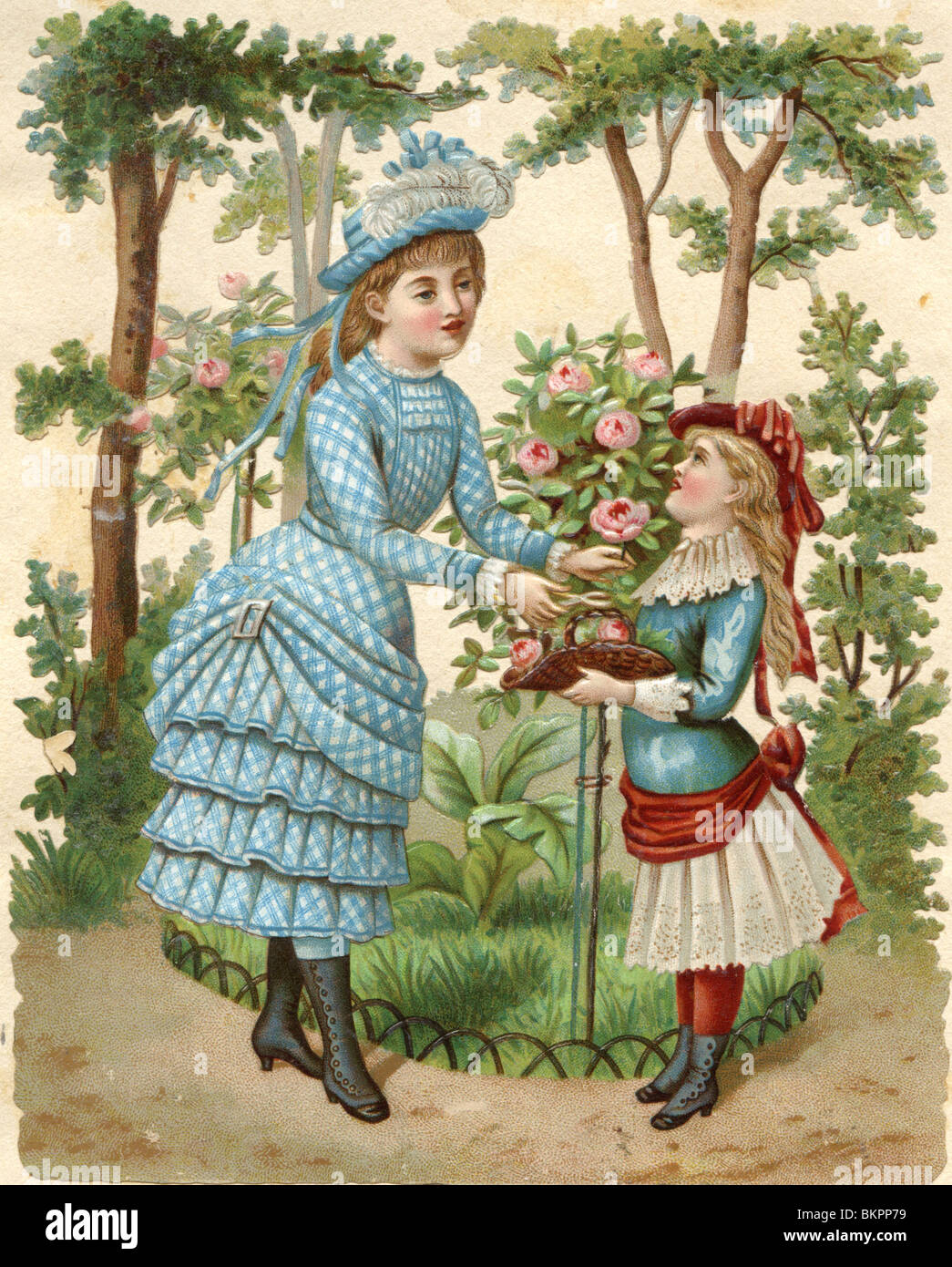 Picking Pink Roses Stock Photo - Alamy