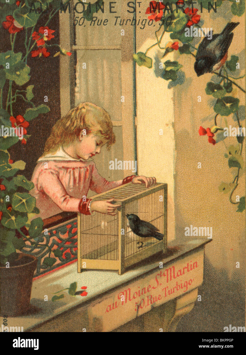Young Girl Places the Bird outside her Window Stock Photo - Alamy
