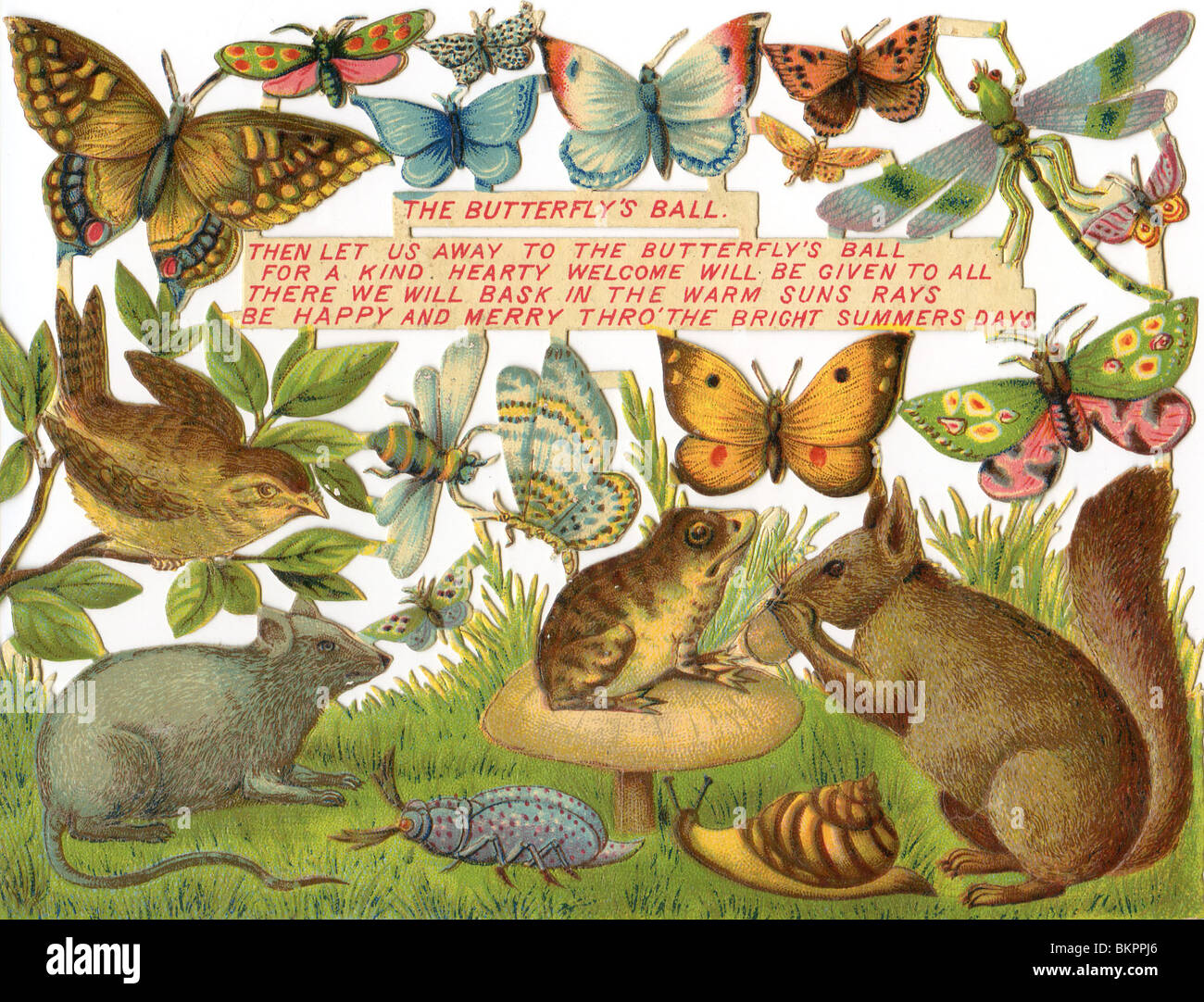 The Butterfly's Ball Stock Photo - Alamy