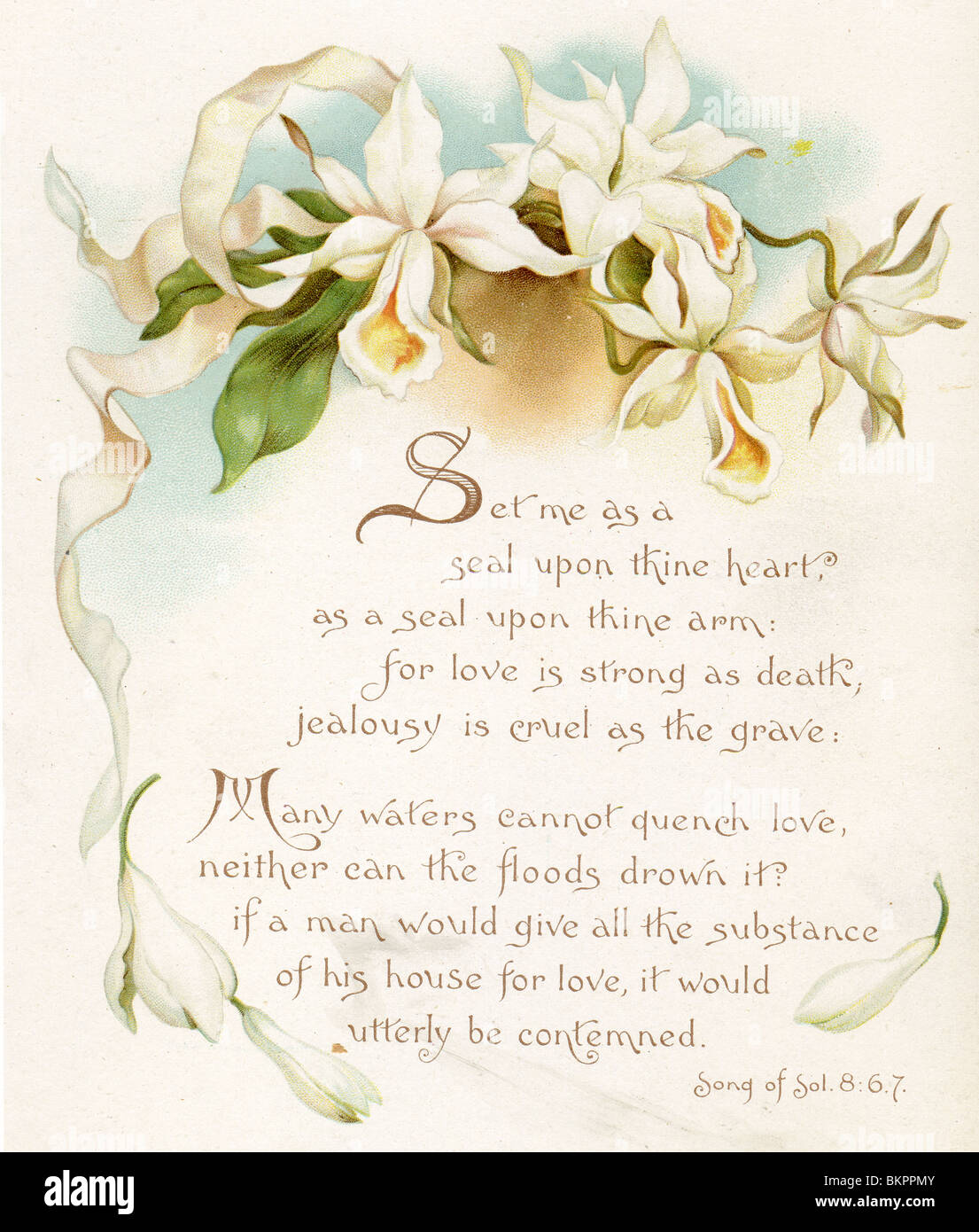 Wedding Poem and White Orchids Stock Photo - Alamy