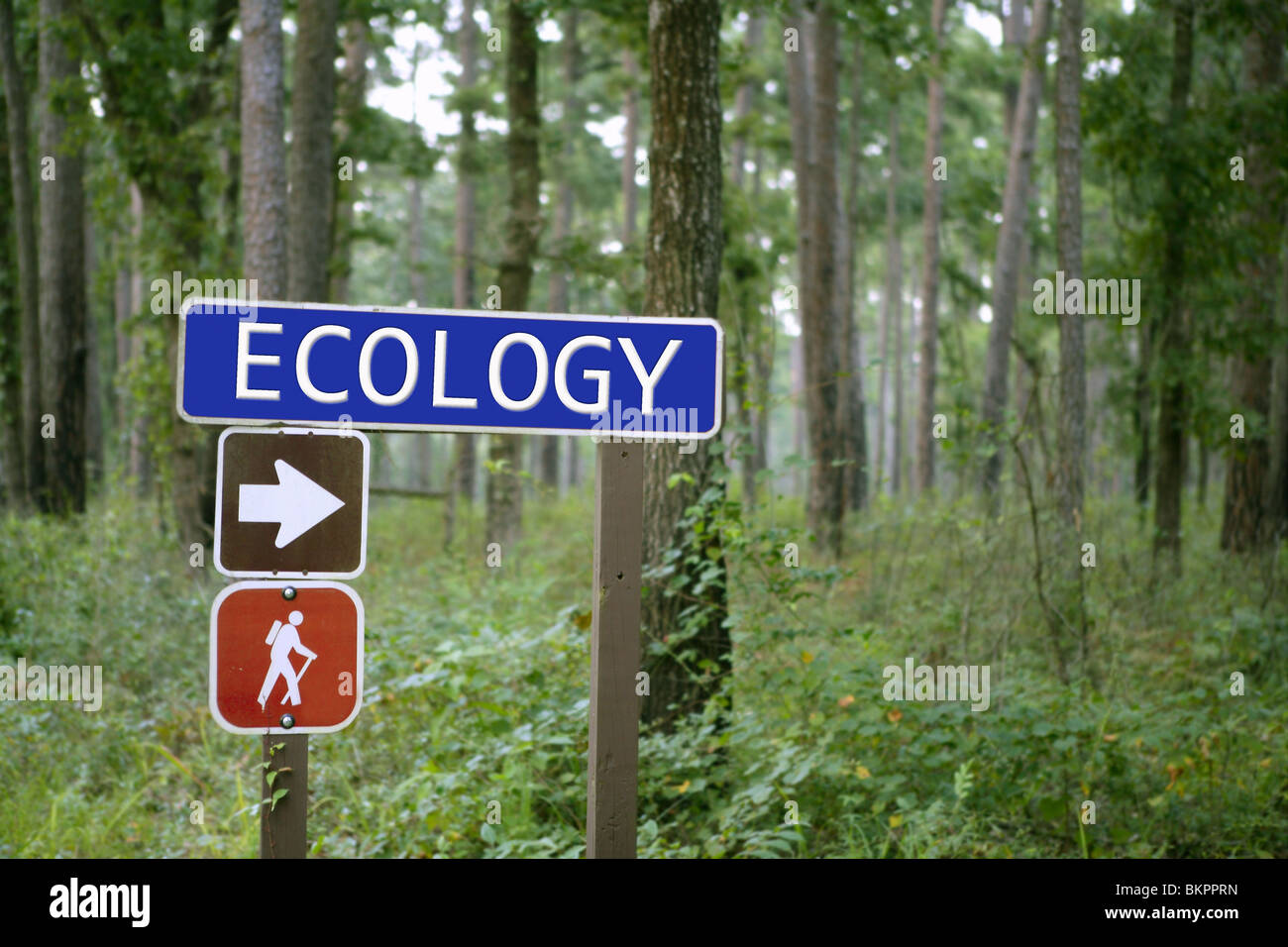 Blue traffic sign with ecology message in the green forest Stock Photo ...