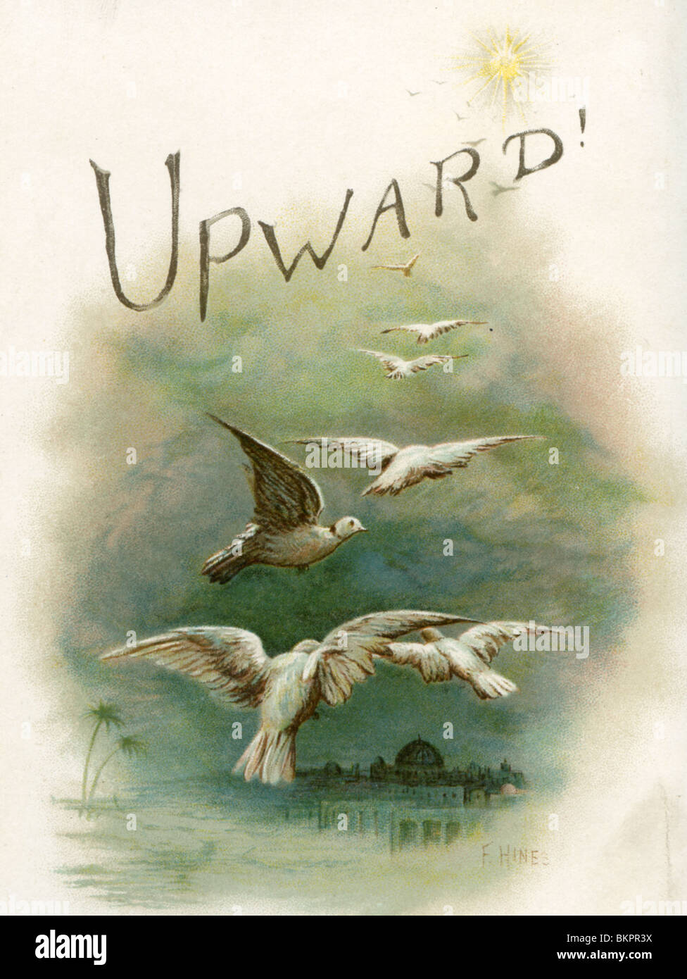 Upward! A Flock of Doves Flying into the Distance Stock Photo - Alamy