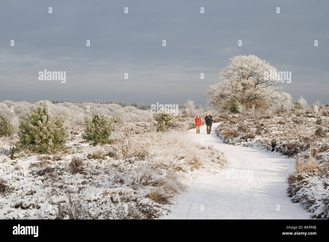 Genieten hi-res stock photography and images - Alamy