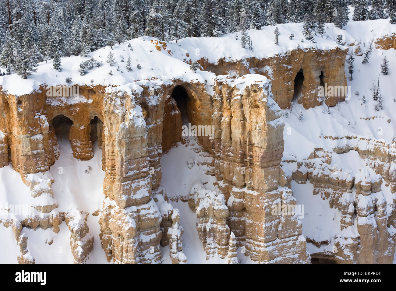 Wall of Windows at Bryce Point. Bryce Canyon National Park, Utah Stock ...