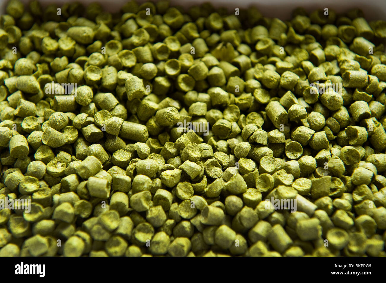 HOP green pellets for beer production beer ingredient ingredients ...
