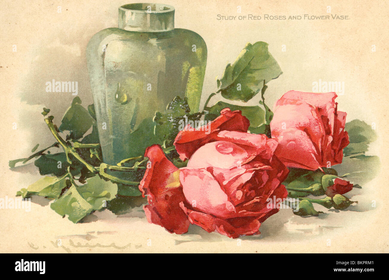 Study of Red Roses and Flower Vase Stock Photo - Alamy