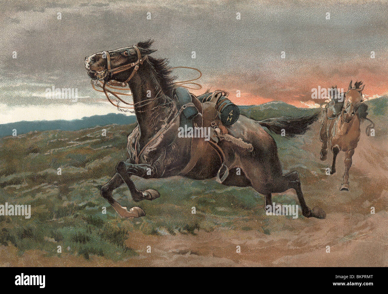 Panic stricken hi-res stock photography and images - Alamy