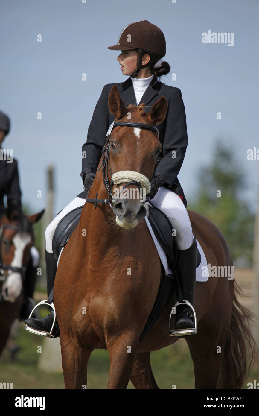 Reiterin auf Deutschem Sportpferd / riding woman Stock Photo - Alamy