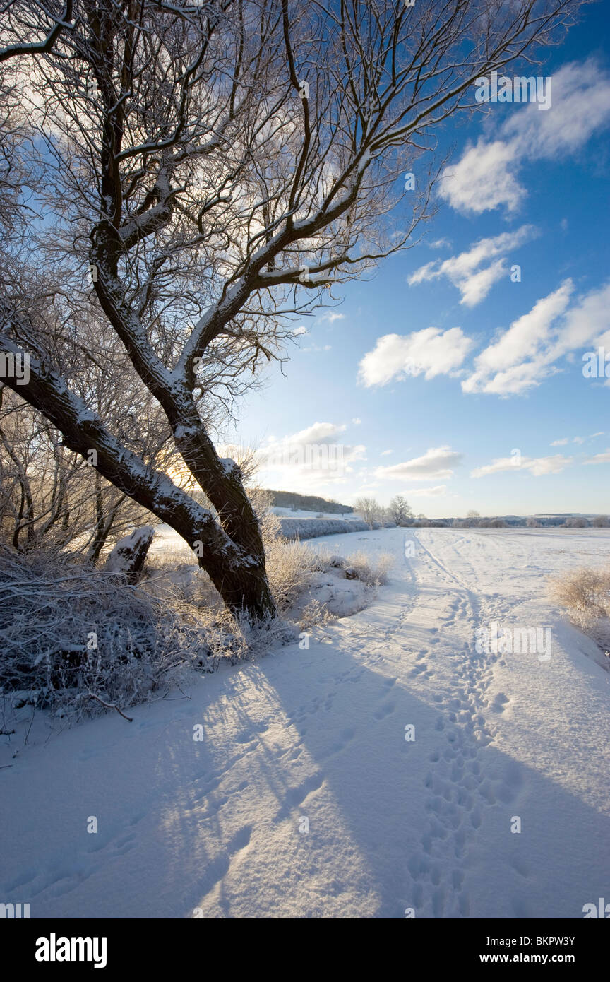 Snow on a winters morning hi-res stock photography and images - Alamy