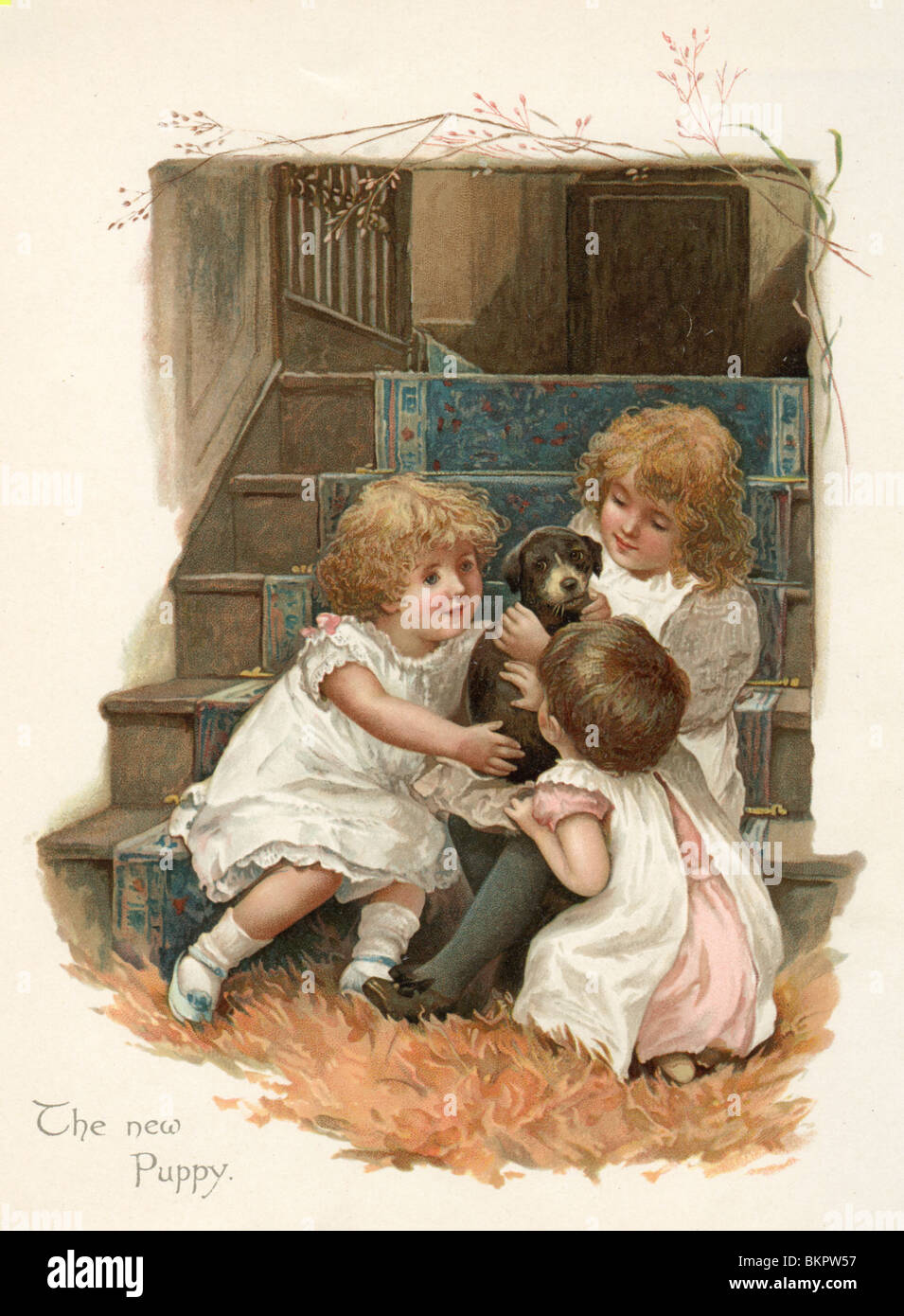 The New Puppy Stock Photo - Alamy