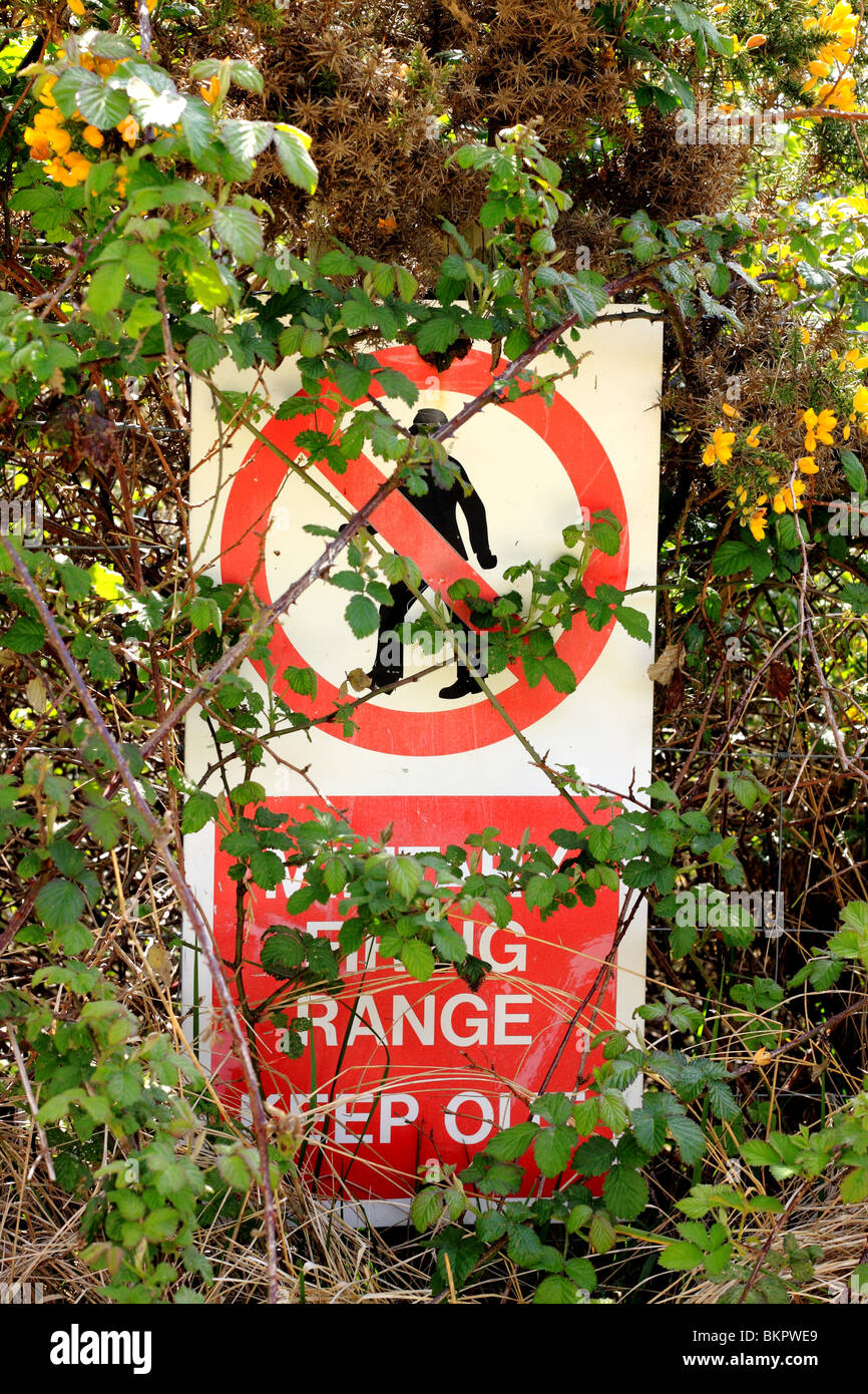 Copse spinney hi-res stock photography and images - Alamy