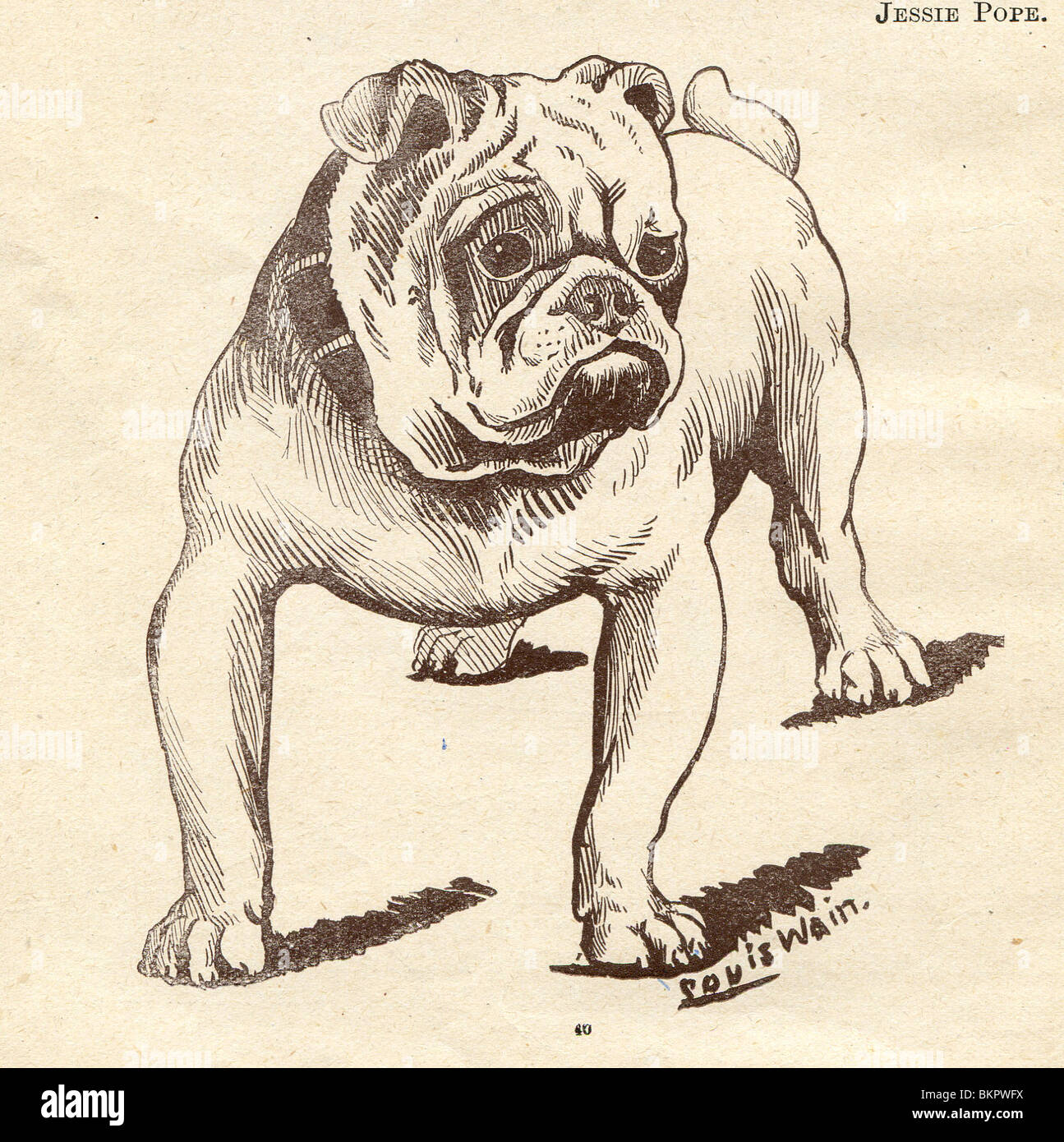 Toby, Jessie Pope Stock Photo - Alamy