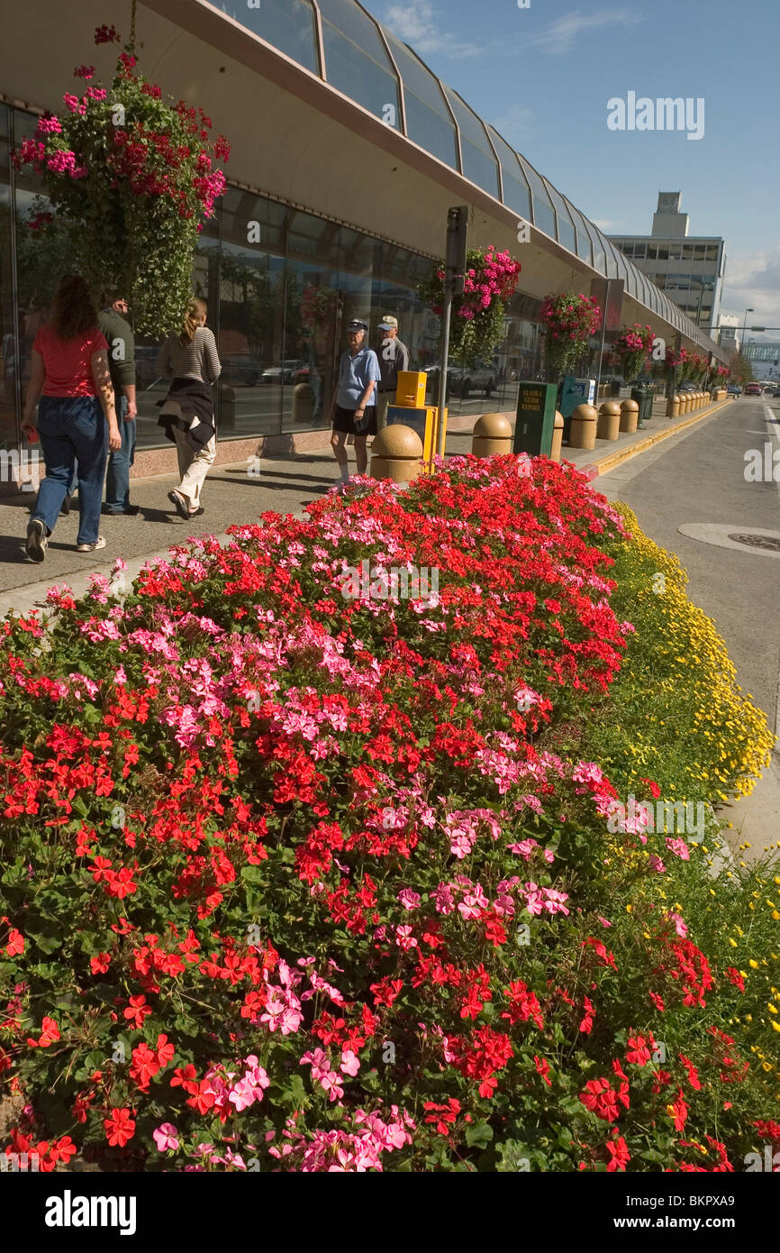 Visit anchorage hi-res stock photography and images - Alamy