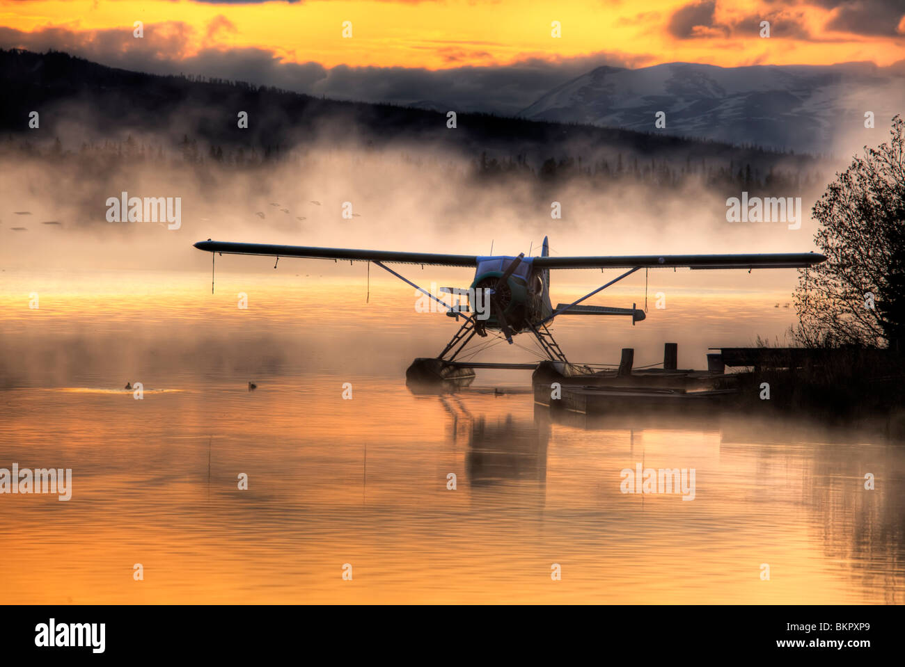 Floatplane sitting on Beluga Lake, Homer, Alaska Stock Photo - Alamy