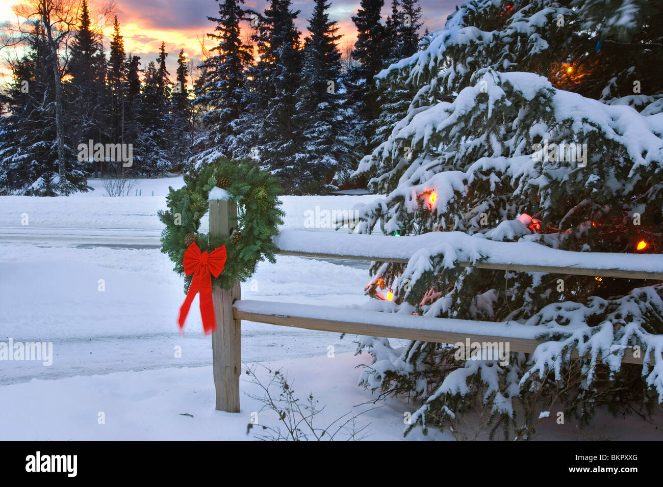 Holiday Wreath hanging on split-rail fence next to decorated tree w ...